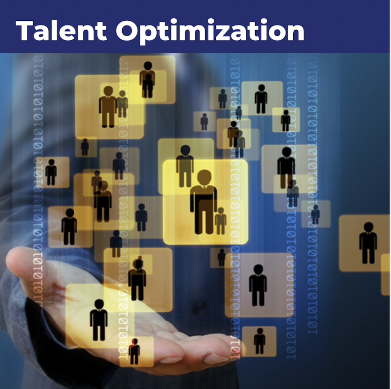 Talent Optimization for Increased Business Performance - WR Company